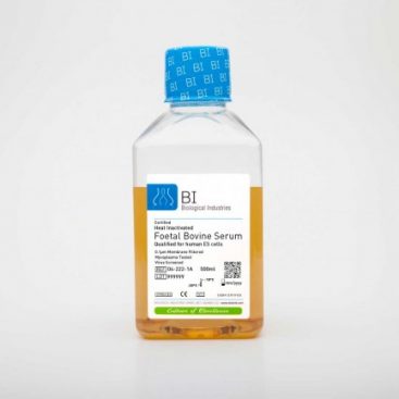 Fetal Bovine Serum, US Origin, Heat Inactivated – Cellseco