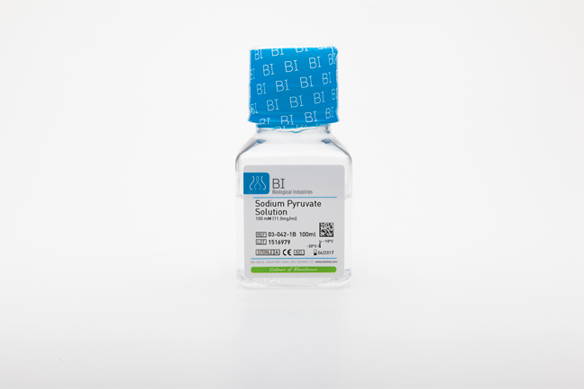 Sodium Pyruvate Solution, 11mg/ml (100mM) – Cellseco